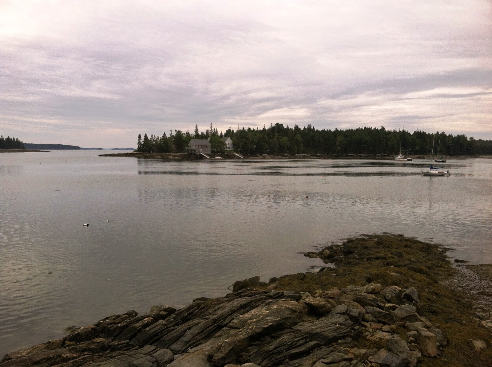 Audubon South Carolina: The Educator's Week at Hog Island (by Matt Johnson)