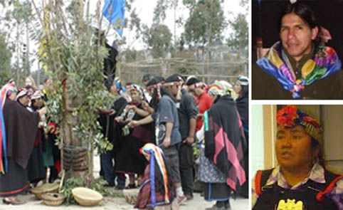 Maricheweu International : Machi of Cholchol and Mapuche leader condemn ...