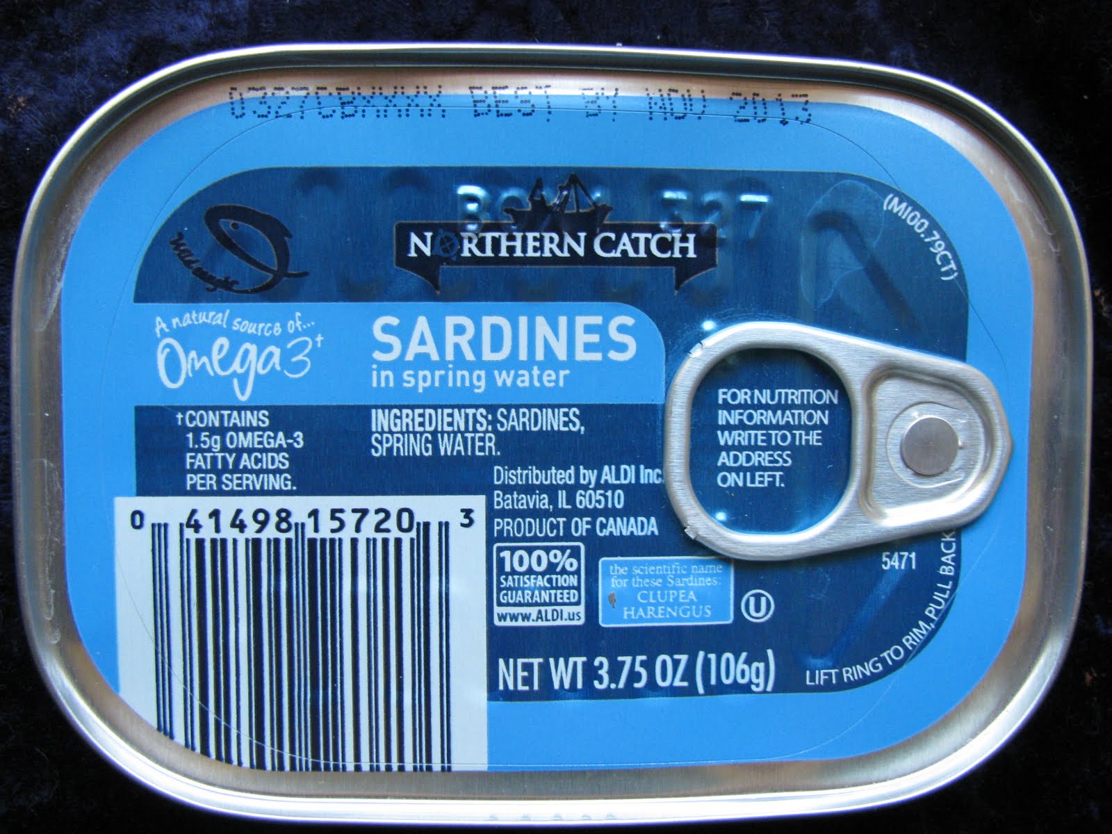 Mouth Full of Sardines: NORTHERN CATCH- 25