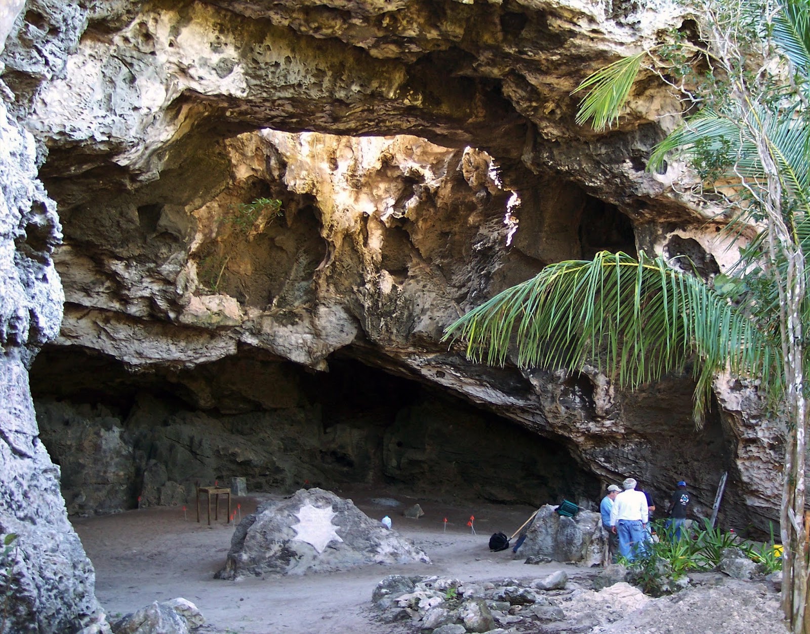 Preacher’s Cave Yields First Evidence of Elusive Lucayan-Taino DNA