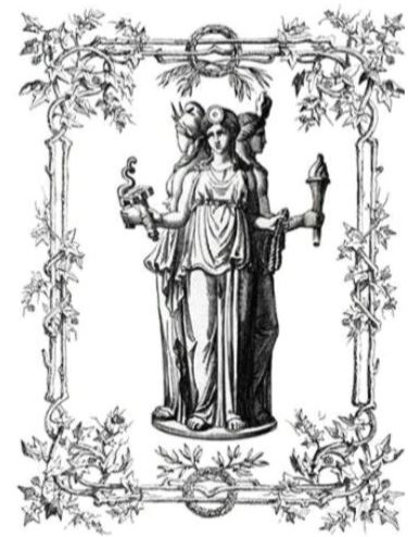 Metal & Interviste: Ecate...