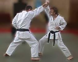 Kojutsukan: Blocking Techniques