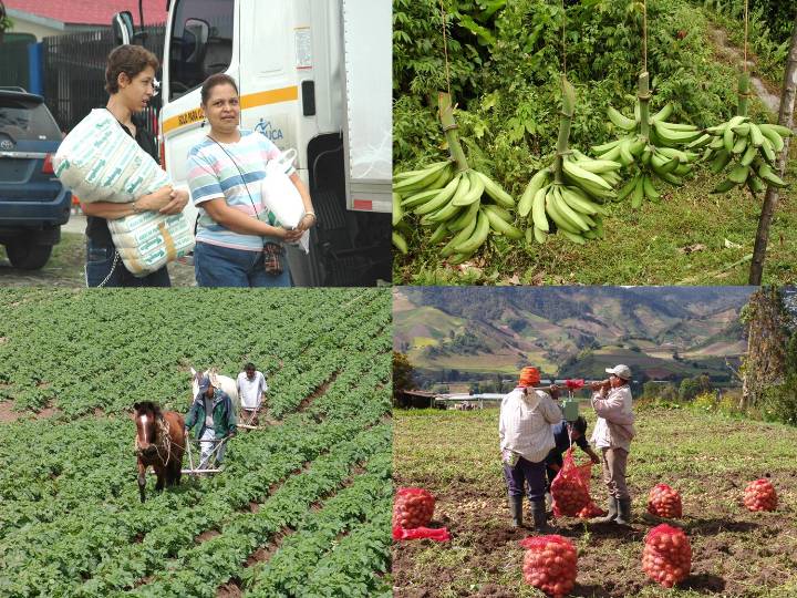 economiapao: *PRODUCCION NACIONAL*