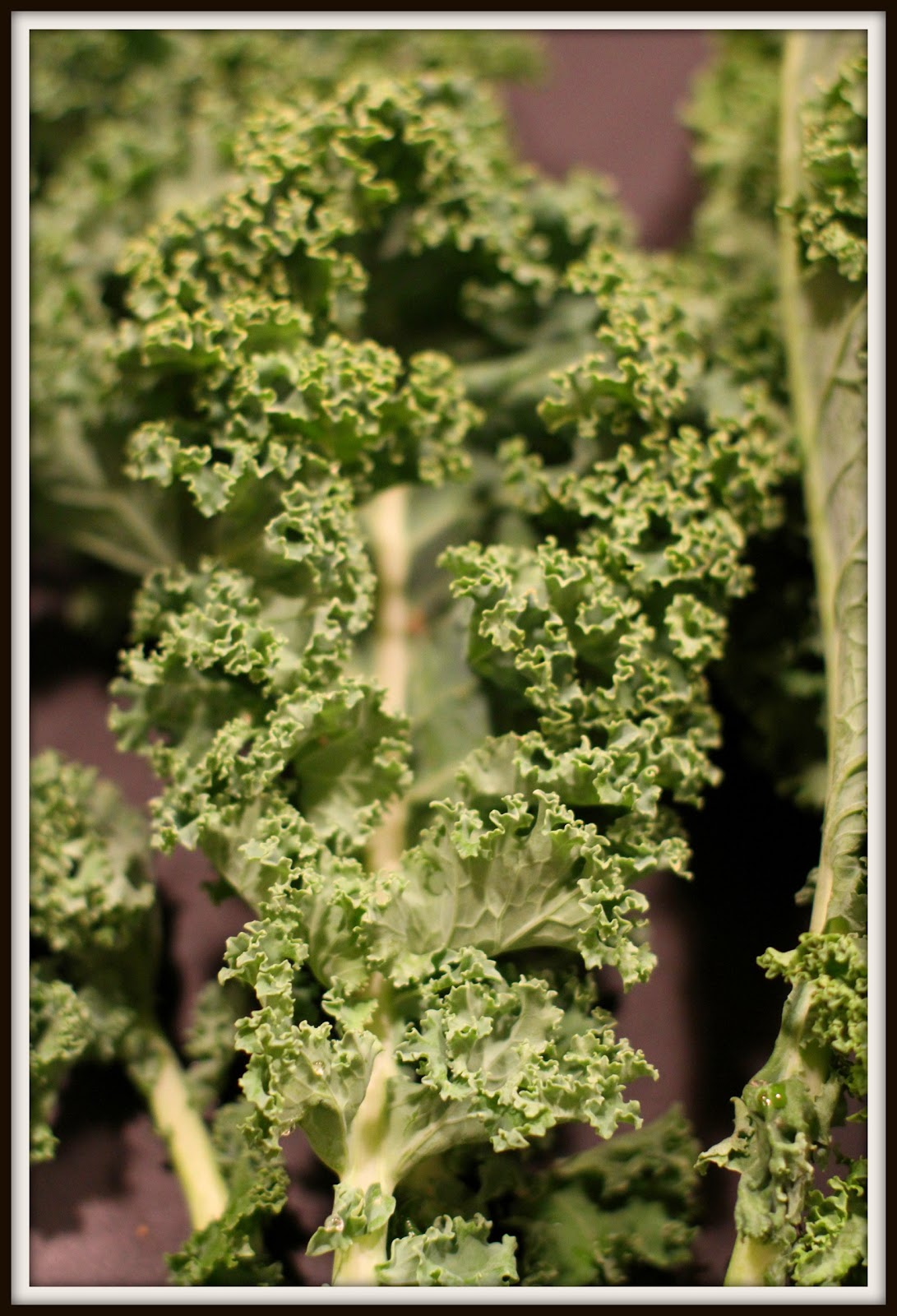 Desperate Gardener: April 2011