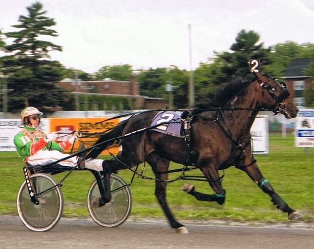 The FREDERICTON SCENE: The Greatest Horses ever developed at ...