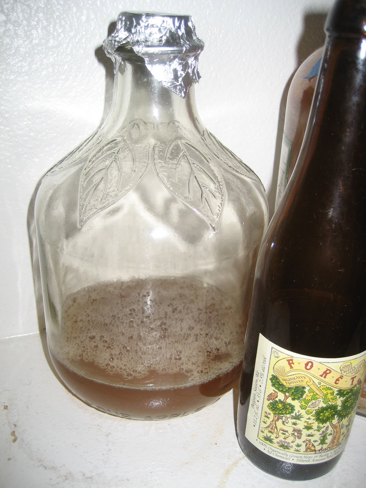 Bikes, Beer, and Adventures: Dreg Series: Dupont Foret Saison