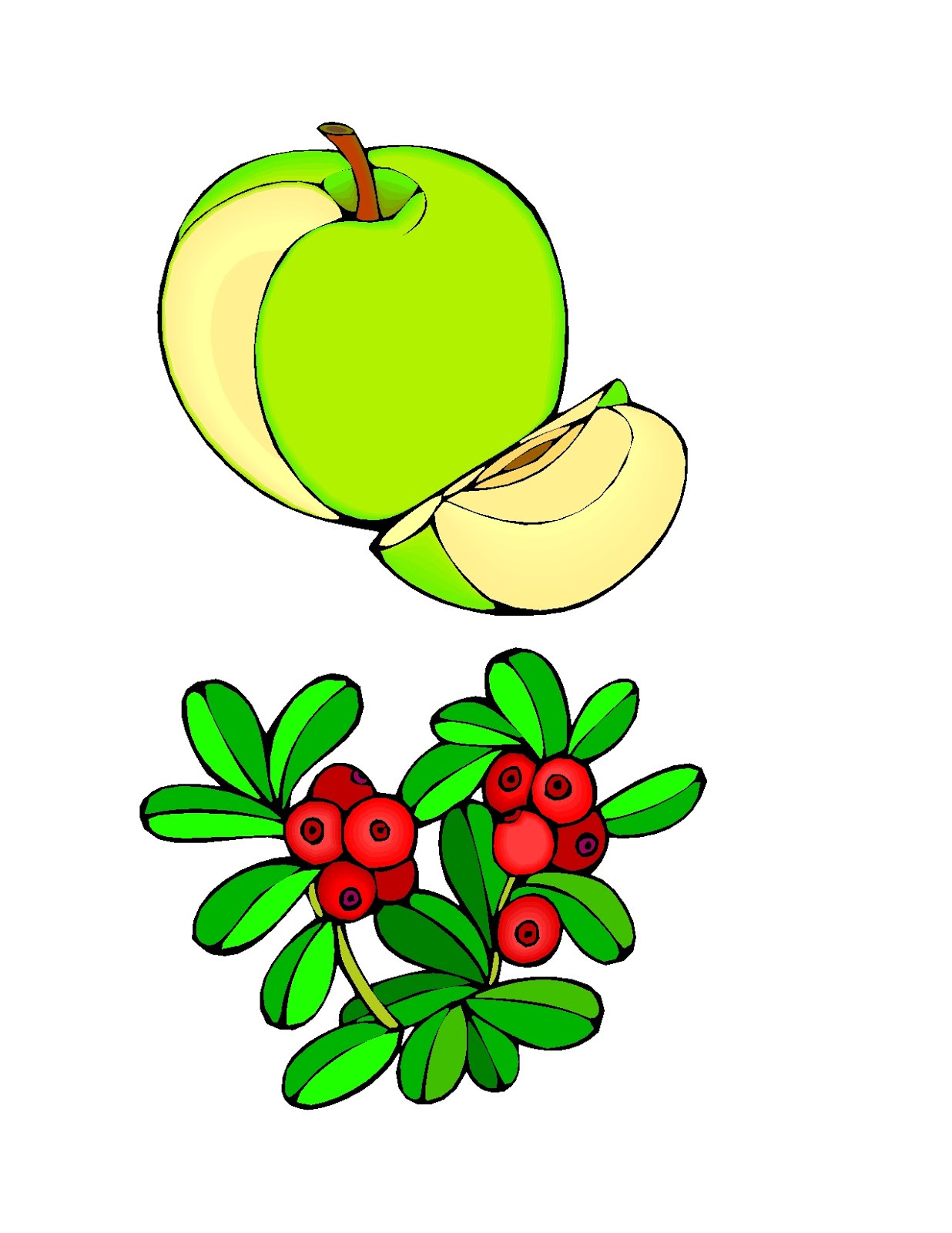 PLANSE colorate cu Fructe si Legume :: Fise de lucru - gradinita si scoala