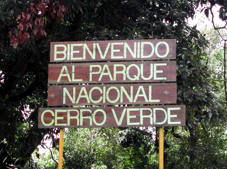 ECOTURISMO DE EL SALVADOR: CERRO VERDE
