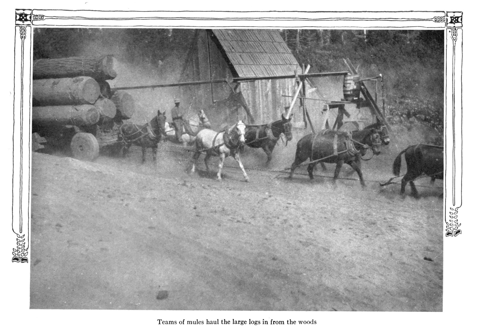 Progress is fine, but it's gone on for too long.: Mules