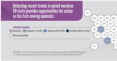 Avian Flu Diary: CDC COCA Webinar: Public Health Responses to Opioid ...