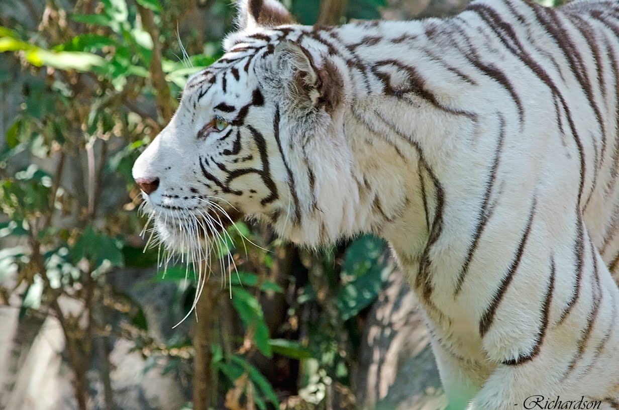 Sixteen Megapixels To Burn