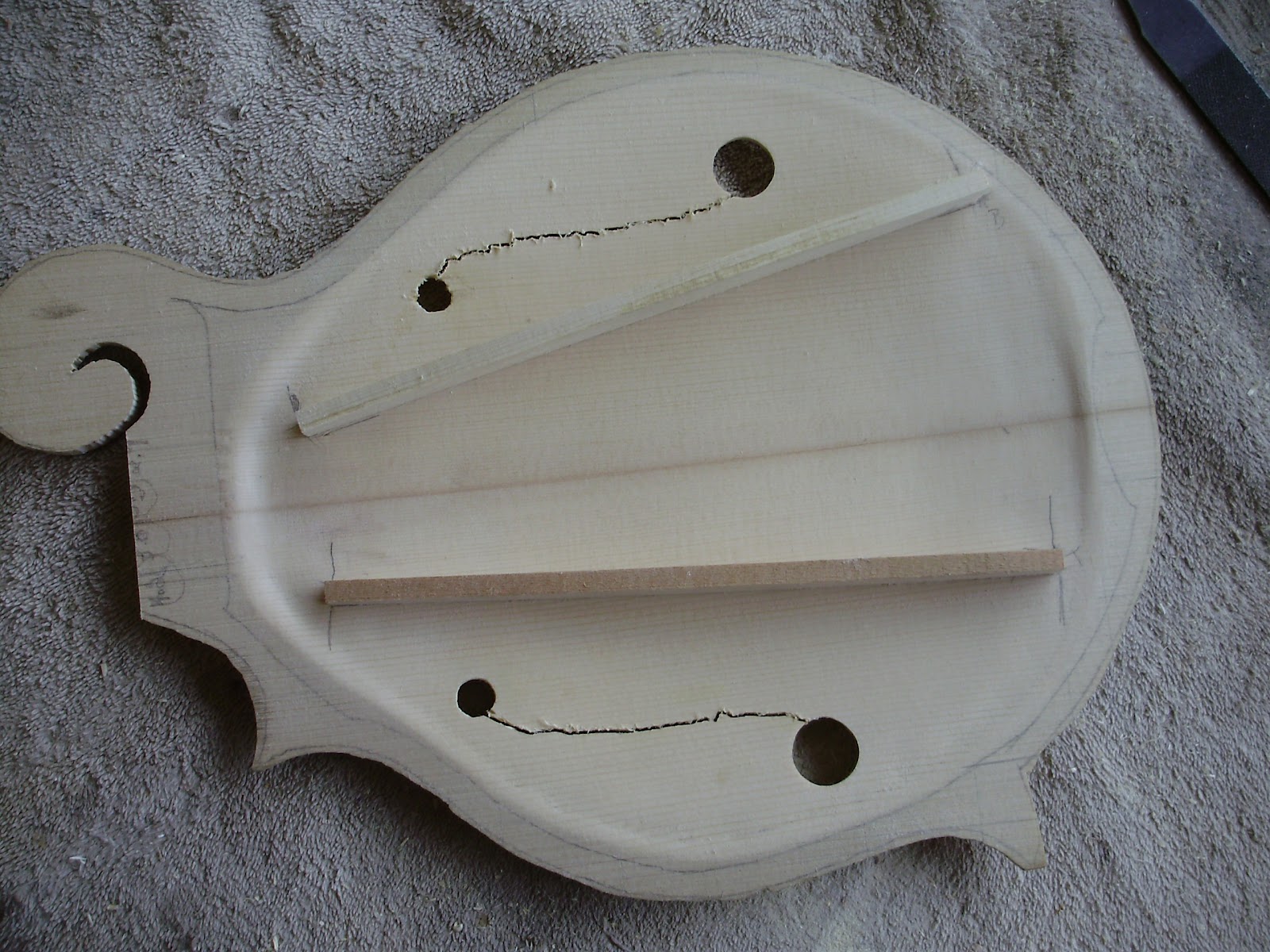 Making an F5 Mandolin: March 22, 2012