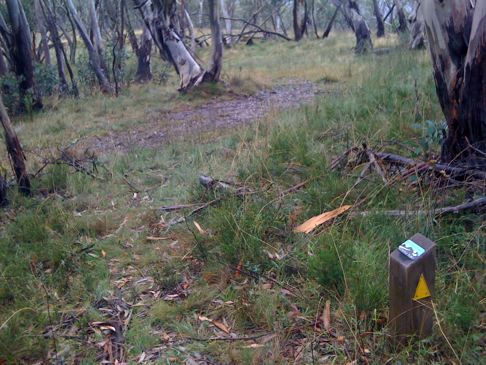 Trails and Tracks: Trip Report: Mt Clear Traverse