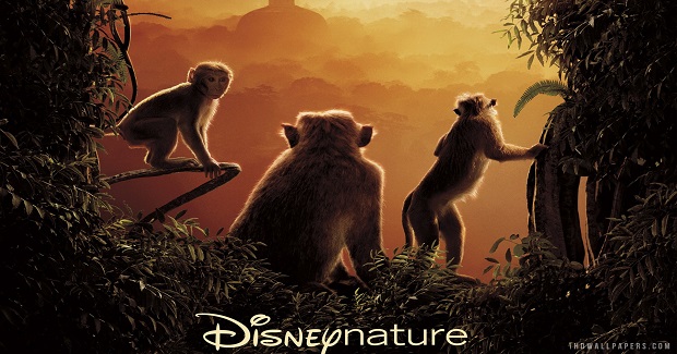 8 Fun Facts About Disneynature's Monkey Kingdom - Disneyland Philippines