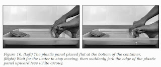 Tsunami: tsunami experiment