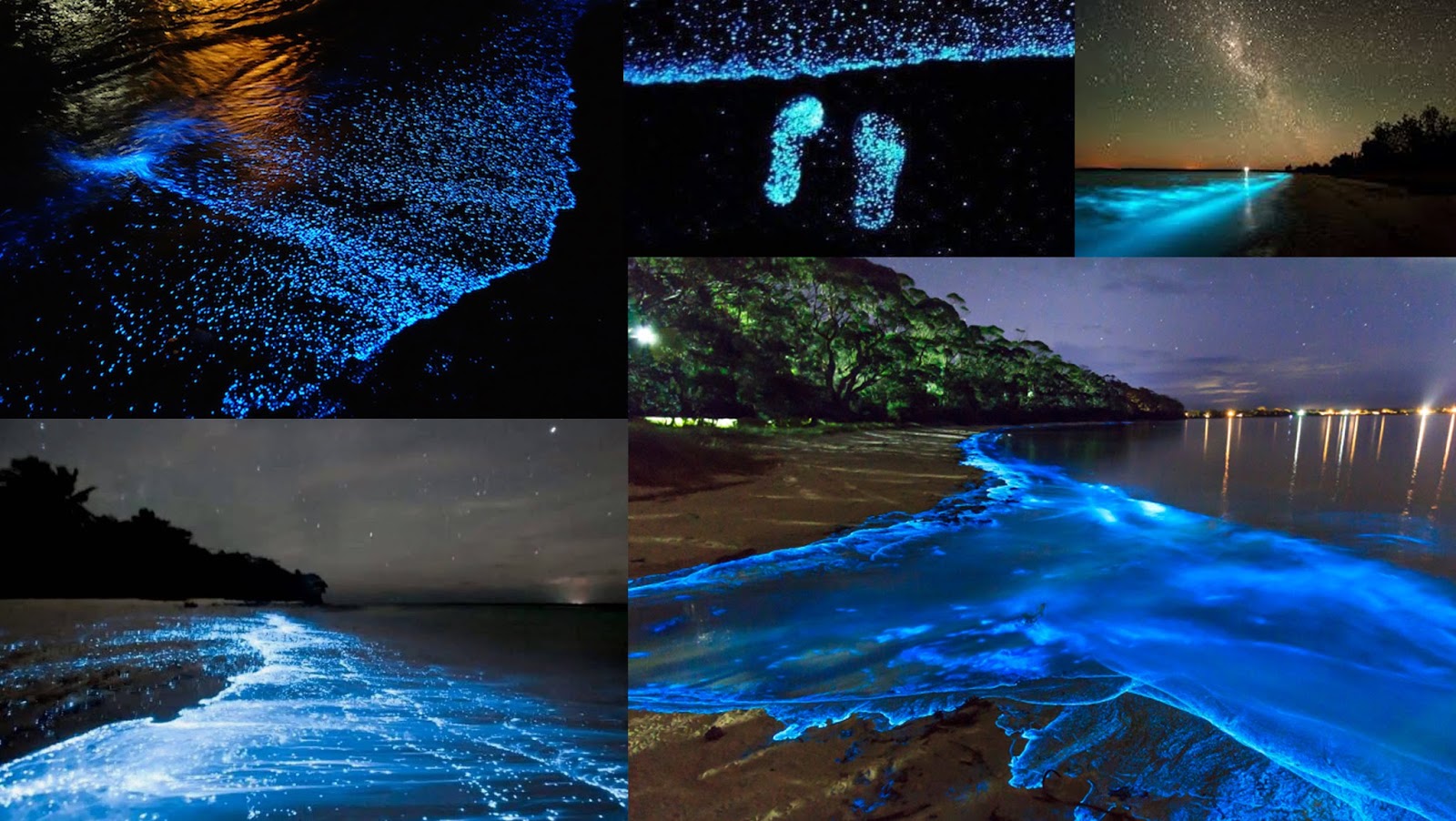 El Corazón de Maldivas: 11. Isla Vaadhoo, el 'Mar de Estrellas'