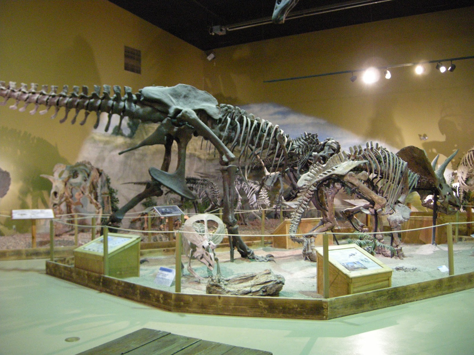 Kitchens Are Monkey Business: April 25, 2012. Thermopolis, Wyoming. The ...