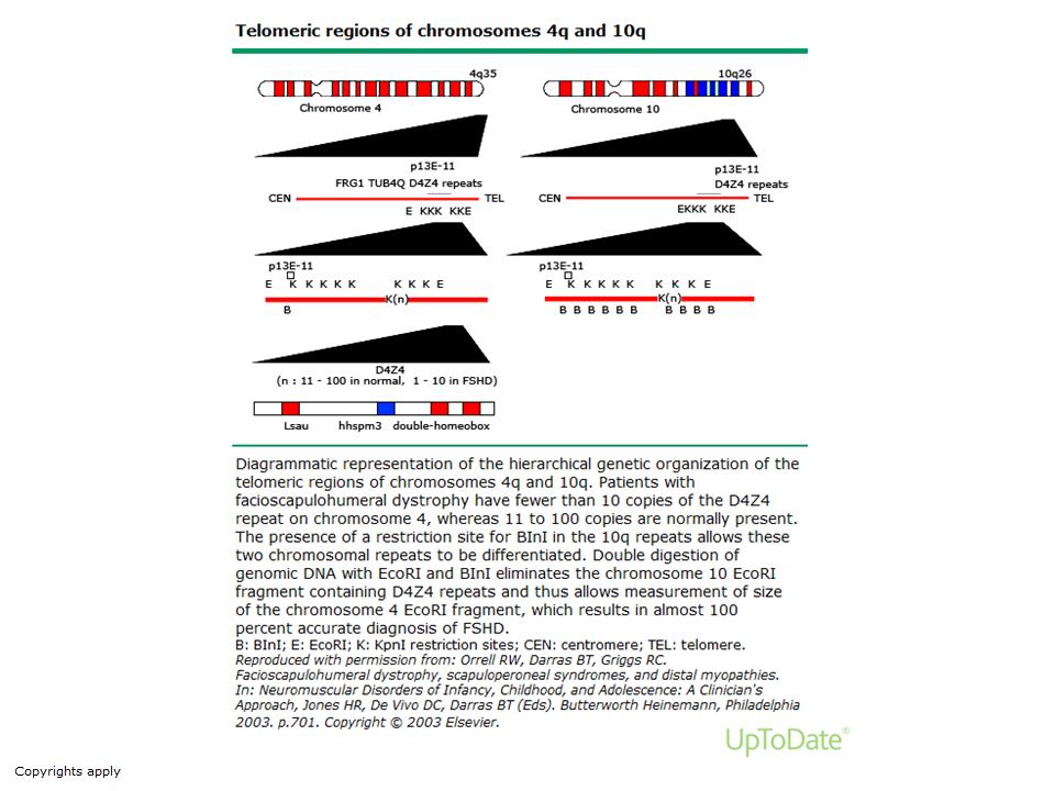 Neurology Notes: FSHD inheritance