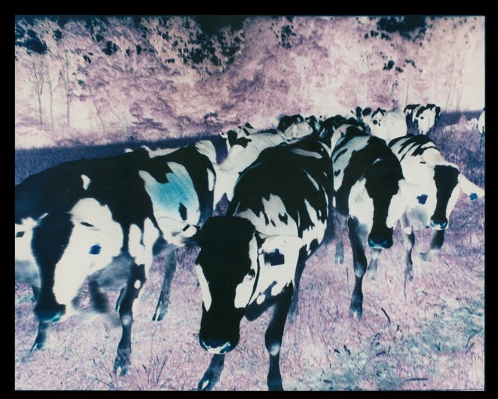 POETS ON THE GREAT RECESSION: JARED SCHICKLING