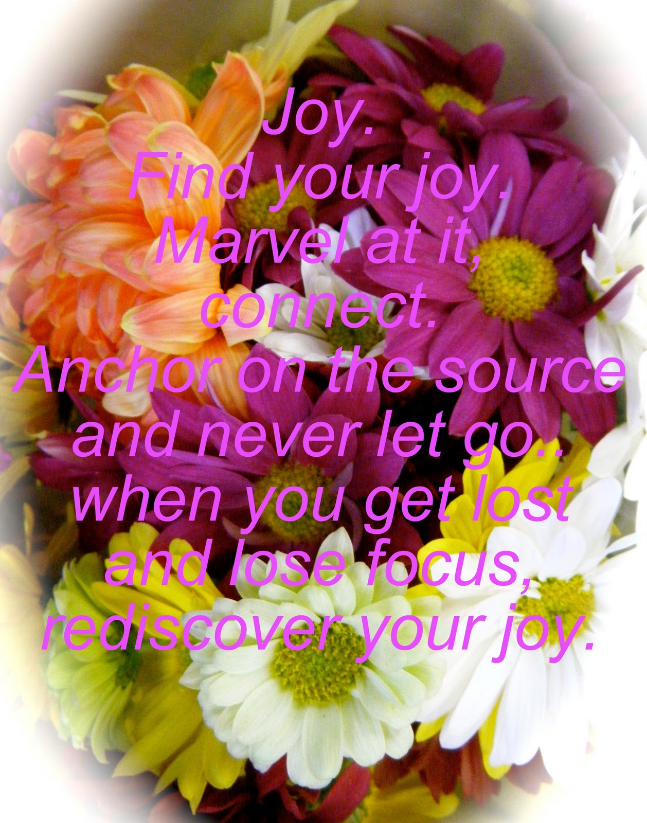 Flowery Blessing: Joy. Find your joy. Marvel at it, connect. Anchor on ...