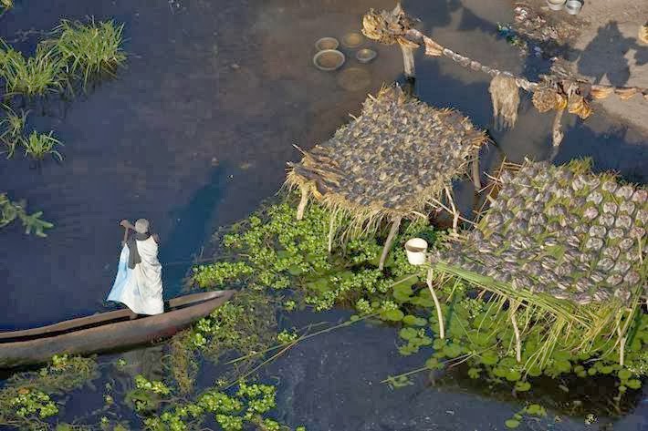 The Sudd The White Nile in Southern Sudan ~ amazing facts
