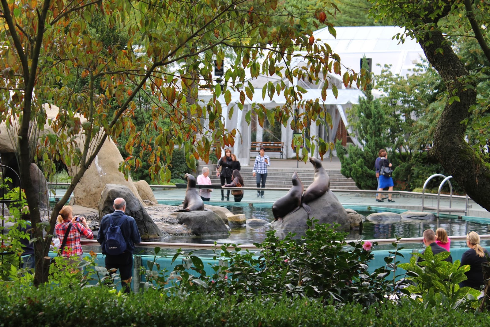 Salisbury Hotel NYC: CENTRAL PARK ZOO