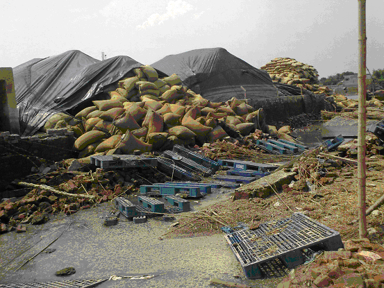 Hasiru Hejje: We must know our Bills