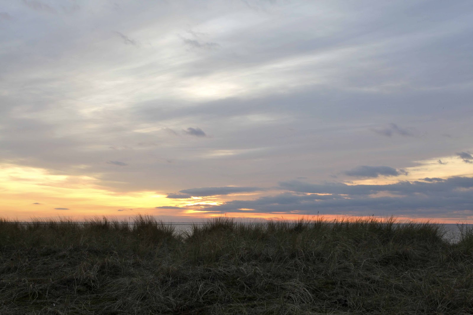 Tracy's OCA Blog: Exercise 12. Positioning the Horizon.