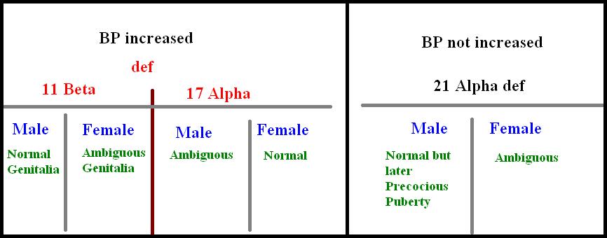 MedicoNotebook: CAH simplified