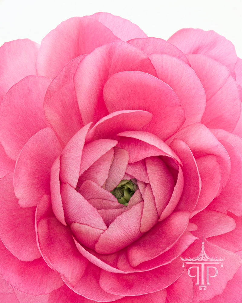 Chinoiserie Chic: Fabulous Friday Finds