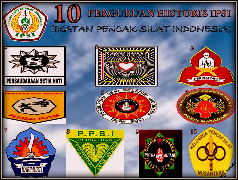 Dwi Nanda Wibowo: Sejarah 10 Perguruan Historis IPSI