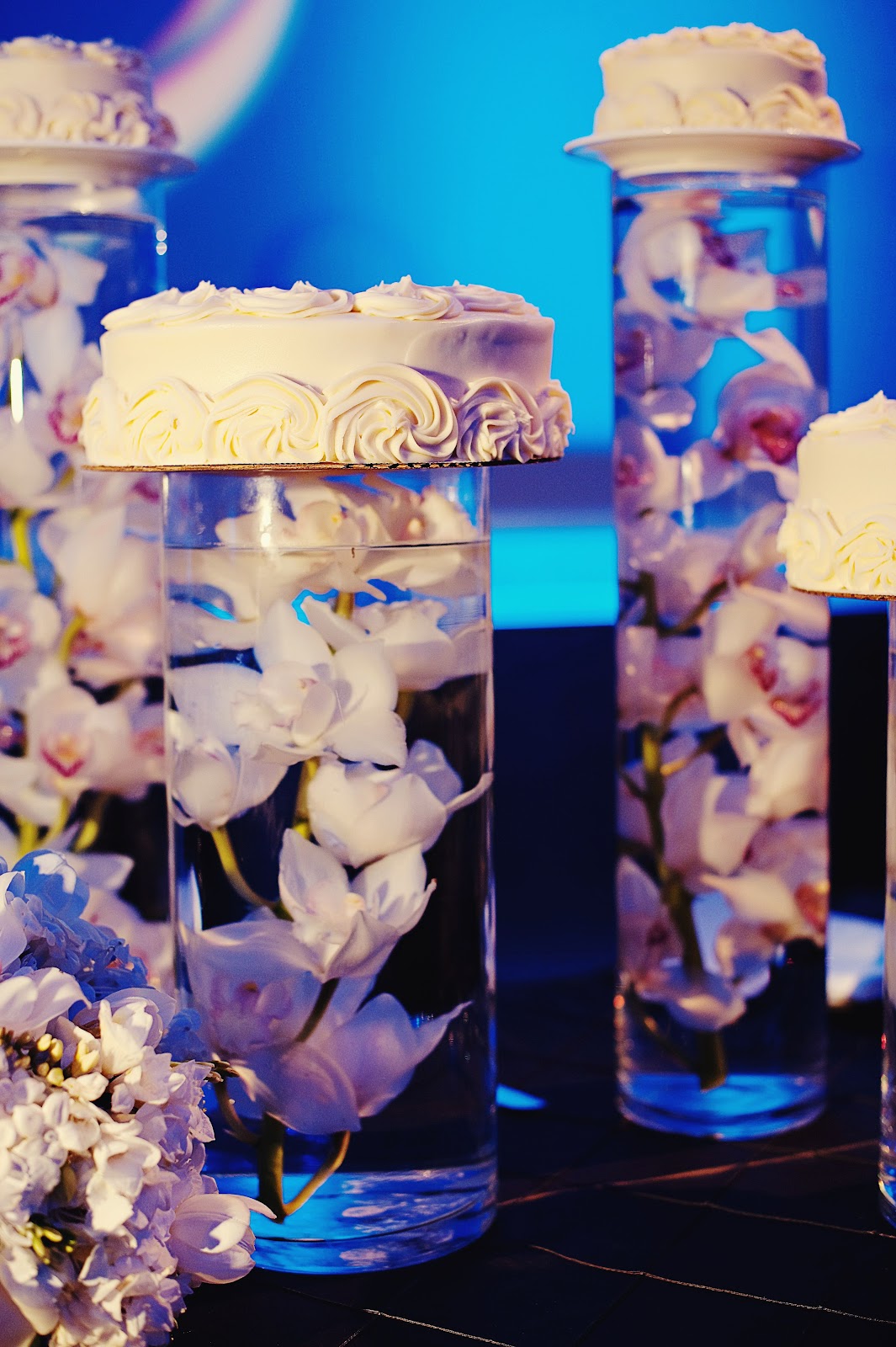 Fresh and Fancy: The Ultimate Wedding Week ~ The Reception