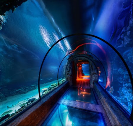 10 Coolest Underwater Places