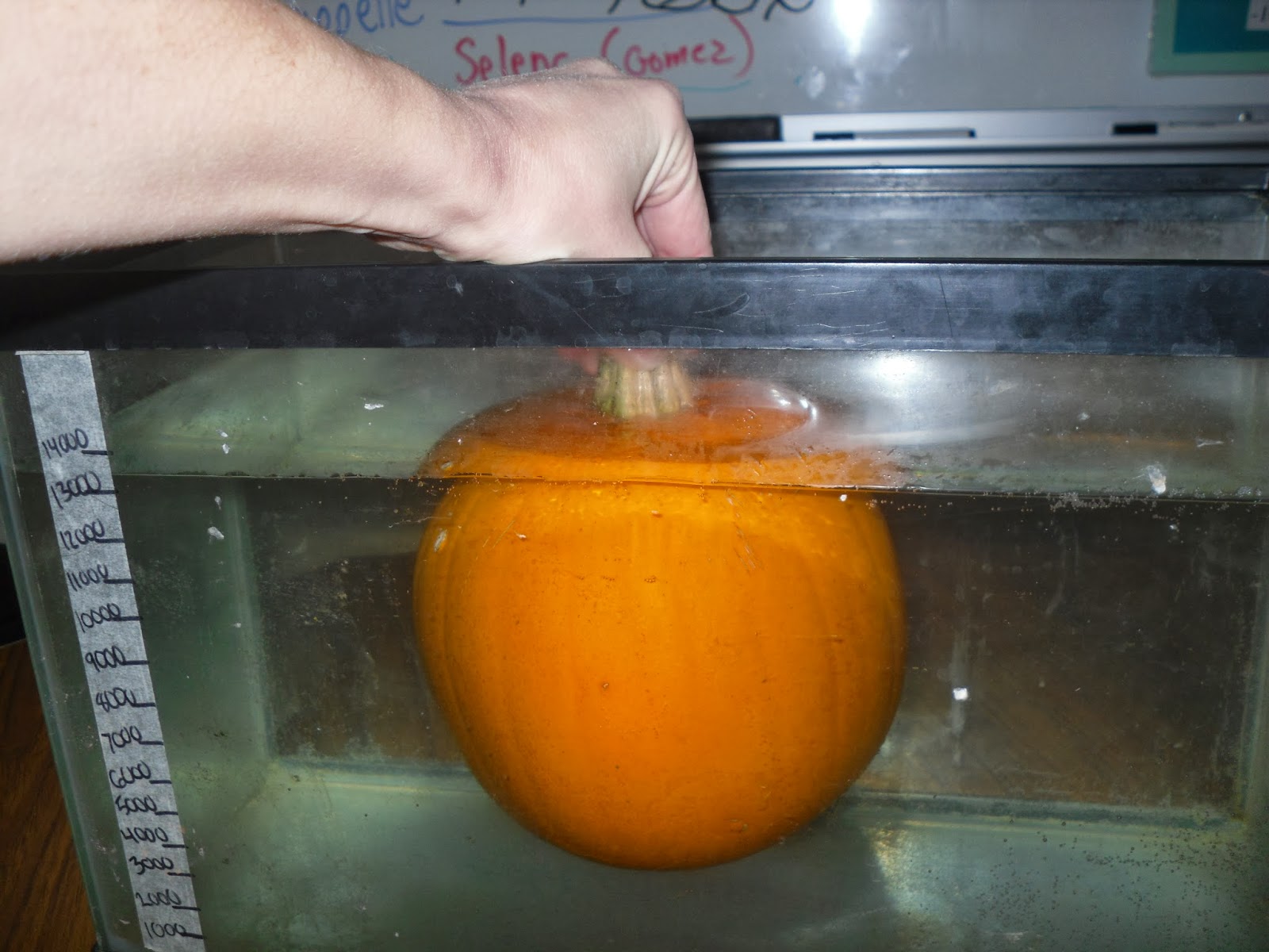 Teaching Math by Hart: Pumpkin Math - Day 1