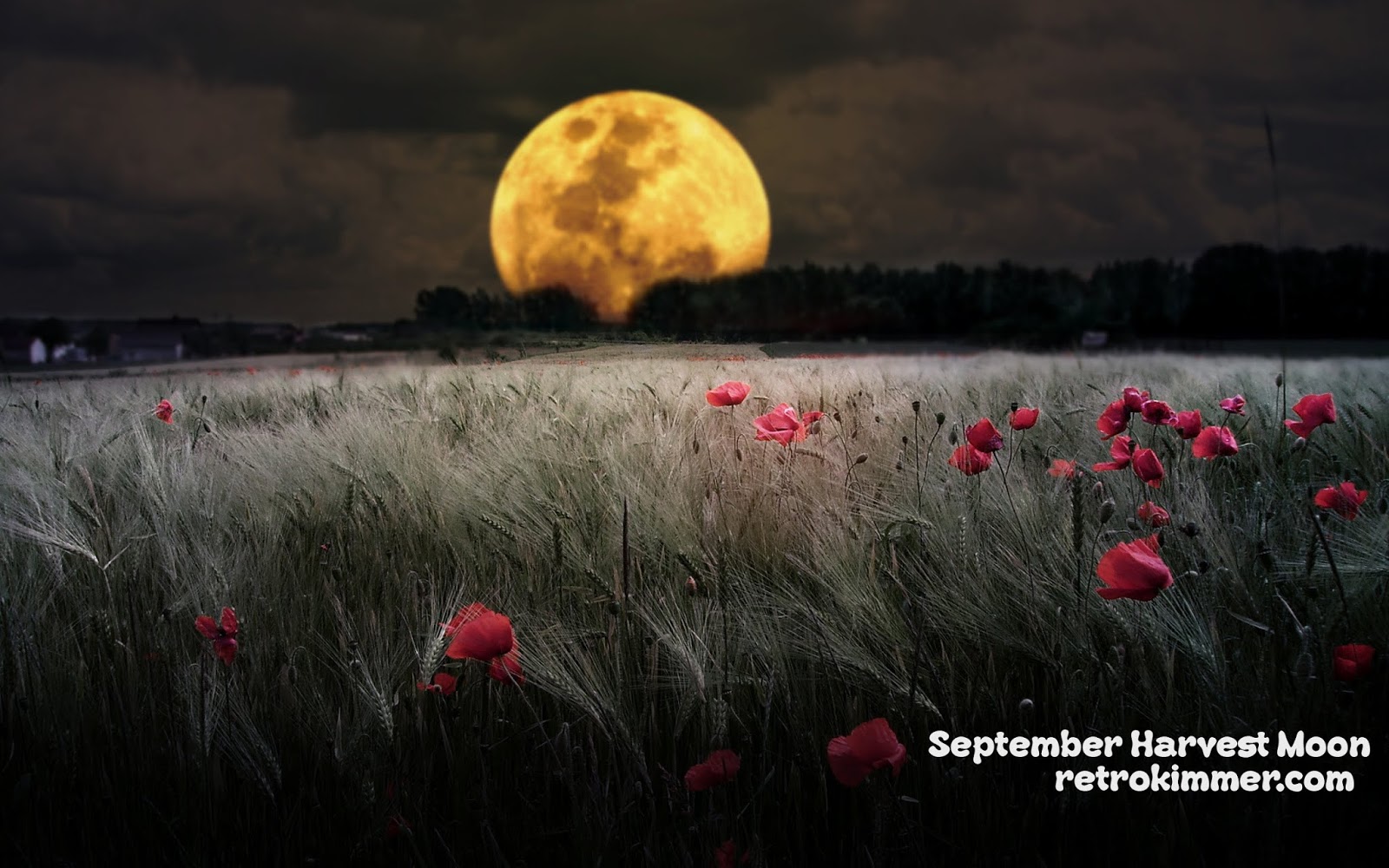 RETRO KIMMER'S BLOG: SEPTEMBER HARVEST FULL MOON 9-24-2018