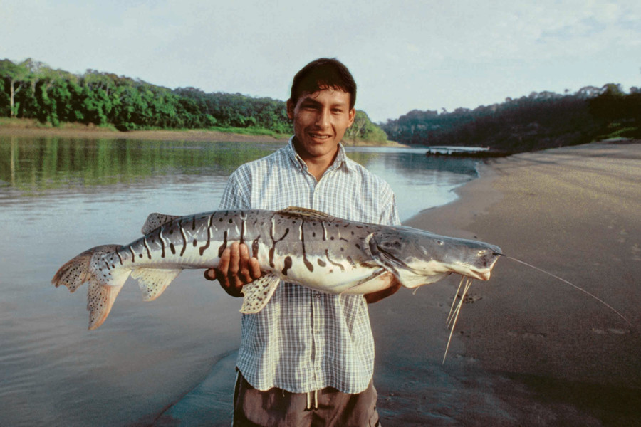 Nombre de peces en kukama