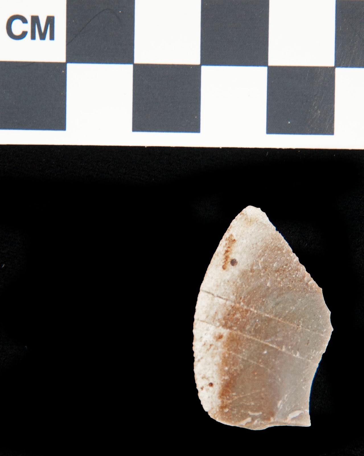 Clive Finlayson's Human Evolution Blog: Neanderthal technology