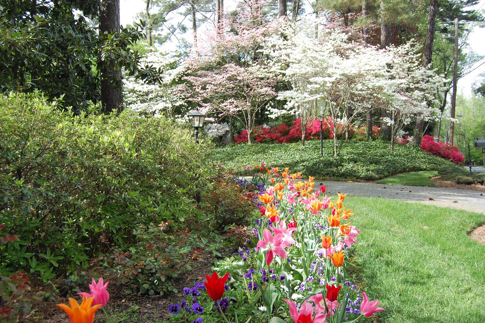 Recollections of a Vagabonde: Spring in Atlanta