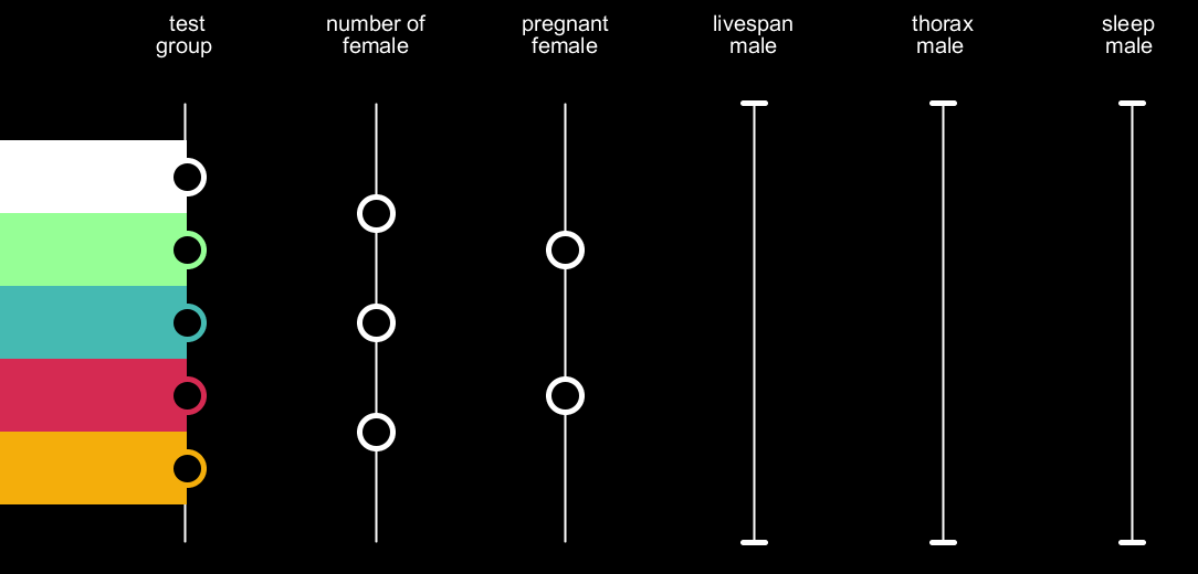 Procedural Design - Steven Molter