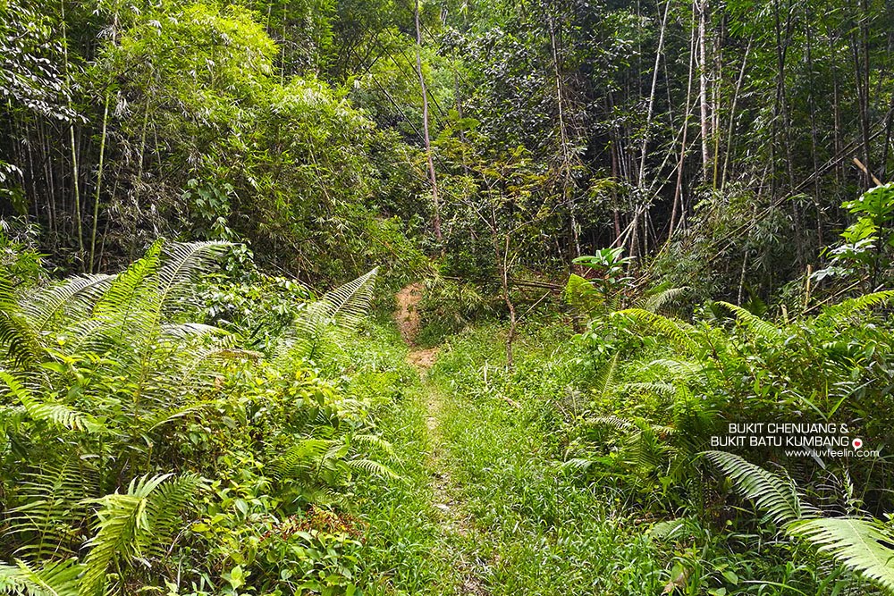 Trans Bukit Chenuang + Batu Kumbang 跨越双峰拥抱 180 度完美视野 - 乐飞翎 ♥ LUVFEELIN