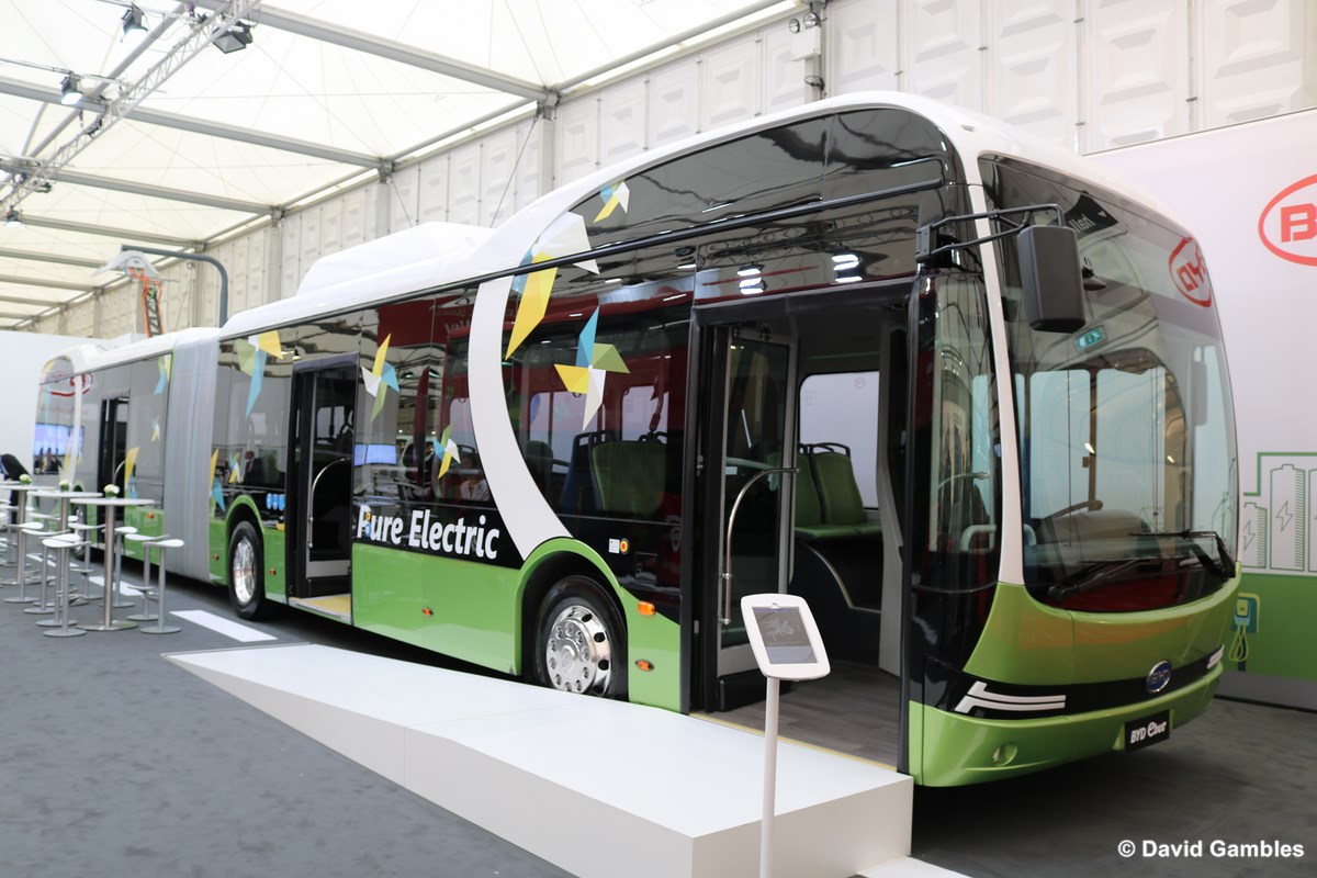 FOCUS TRANSPORT: BYD Bendi- bus