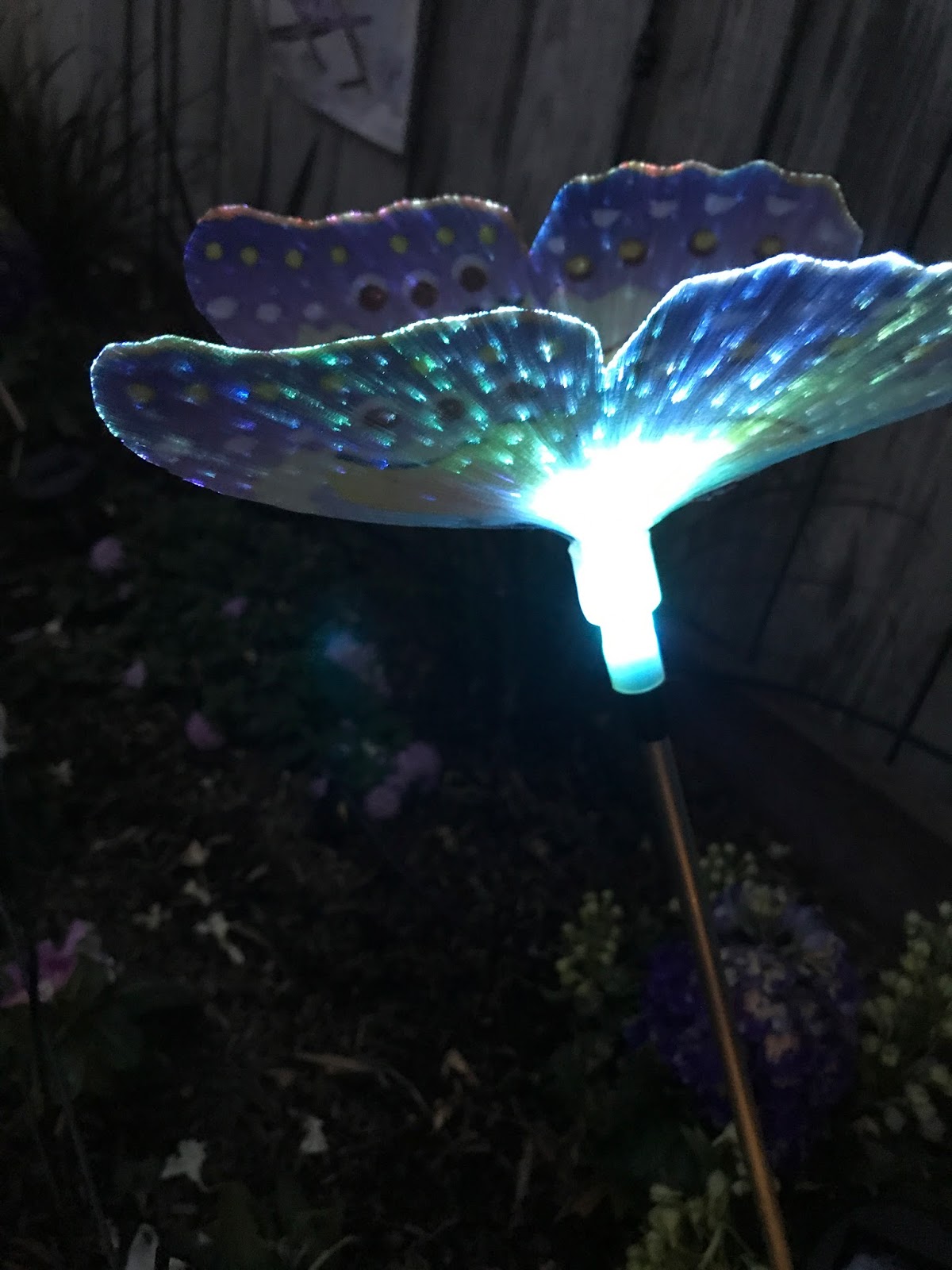 Having Fun Doing Reviews