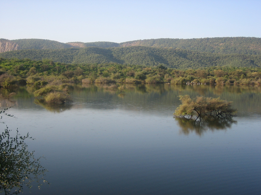Sariska Tiger Reserve