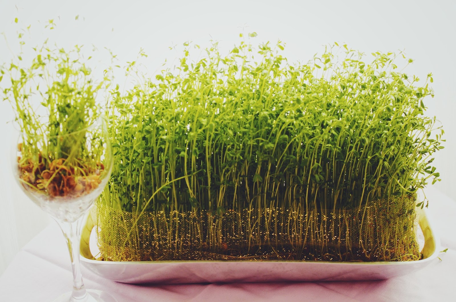 Turmeric & Saffron: Celebration and Traditions of Nowruz - The Seven S ...