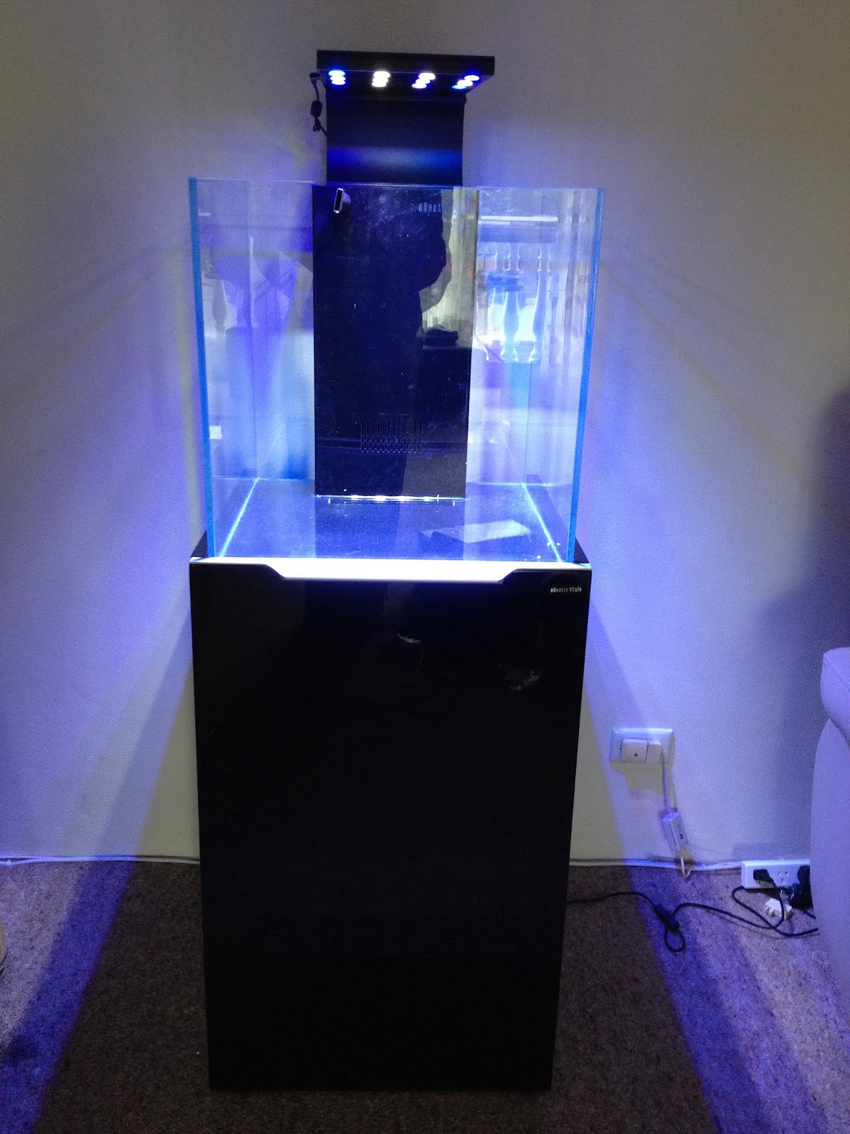 Emboli's Aquariums: [MARINE TANK] 40cm Cube Braceless