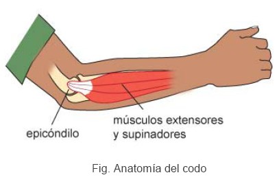 Enfoque Ocupacional en la Red.Salud y Seguridad Laboral: Epicondilitis