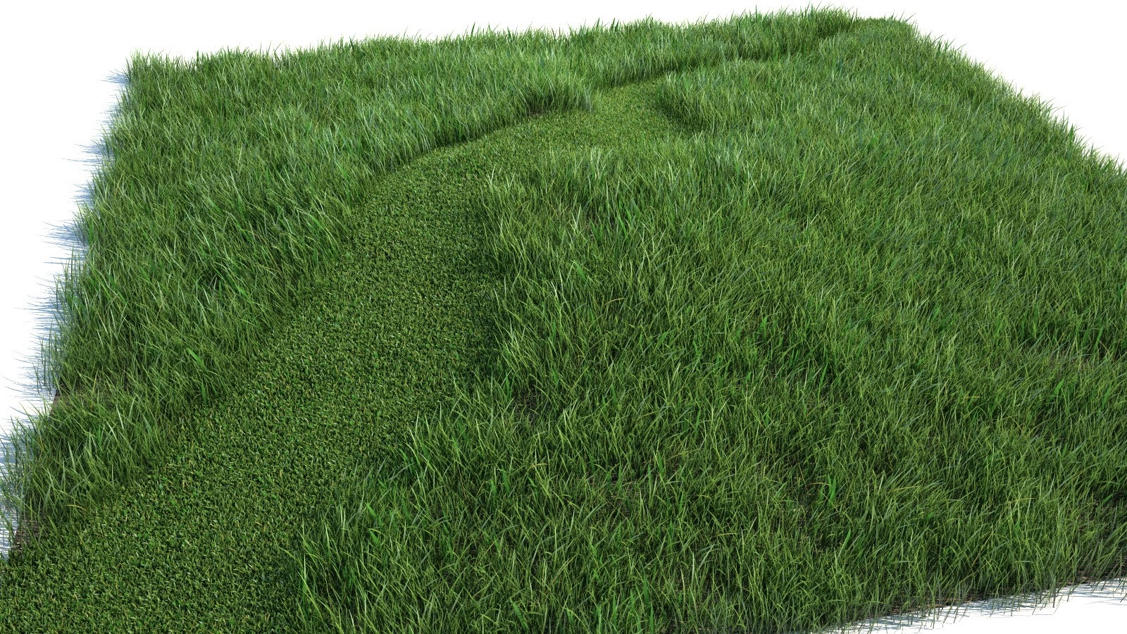 Grass Script for C4D and Vray by Boskolazovic | C4D Vray Source