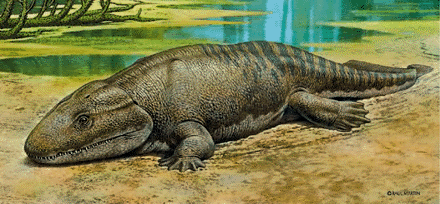 Mundo Dyno: Ictiostega