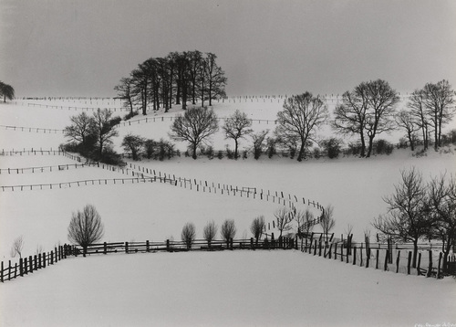 Se viene el invierno... - El mundo de las Artes Visuales...