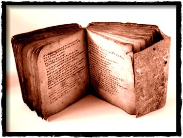 diccionario virtual: H